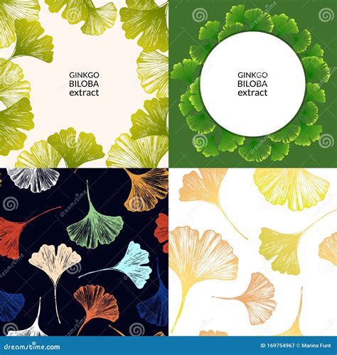 Stock Vector Illustration Set With Hand Drawn Japanese Ginkgo Biloba