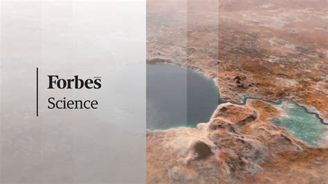 Forbes Science გასული კვირის მნიშვნელოვანი სიახლეები მეცნიერების სფეროდან • Forbes Georgia