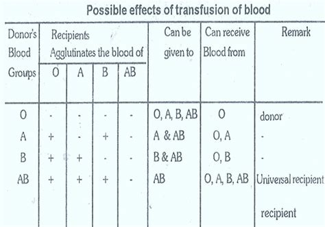 Blood Group Inheritance Biozoom