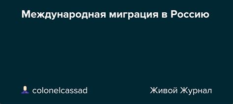 Международная миграция в Россию Colonelcassad — Livejournal