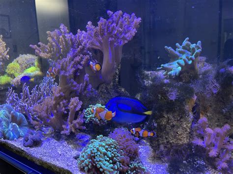 ますだ歯科医院 鳥取市 メディカルドック