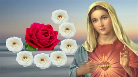 Santo Rosario De Hoy Martes 15 De Noviembre Con Letanías Youtube
