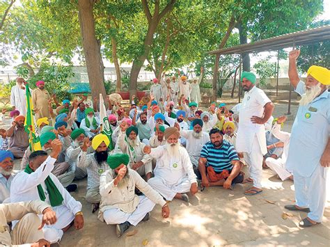 ਕਣਕ ਦੀ ਖ਼ਰੀਦ ਨਾ ਹੋਣ ਕਾਰਨ ਕਿਸਾਨਾਂ ਚ ਰੋਹ Punjabi Tribune