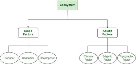 Simple Ecosystem Diagram