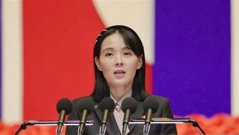 North Korea Says Probe Proved Seoul To Blame For Drones Raw Story