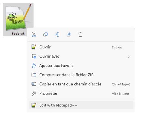 Blanck Icon In Taskbar Windows 11 Issue 13438 Notepad Plus Plus