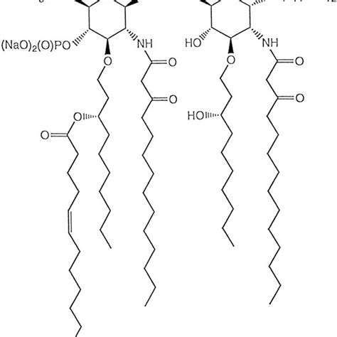 Chemical Structure Of The Synthetic Lipid A Analog E5531 Download Scientific Diagram