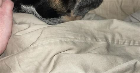 Cake Day Post Album On Imgur