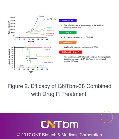 7427 華上生醫 Gntbm 38 潛力無窮！｜cmoney 股市爆料同學會