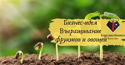 Бизнес на выращивании фруктов и овощей советы для новичков — Teletype