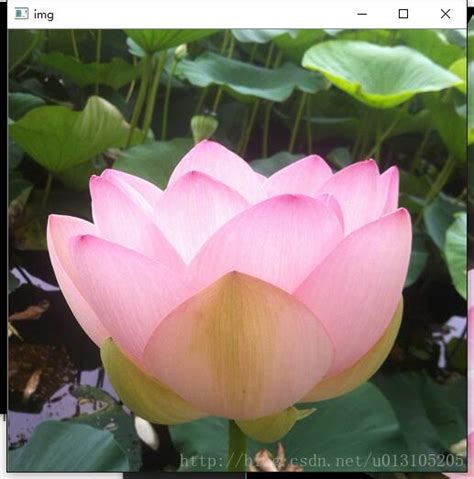 Opencv2413中warpaffine函数理解，旋转，仿射变换，缩放，保持完整图片 Csdn博客