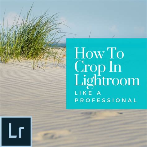 How To Crop In Lightroom Like A Professional Photographer