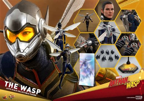 Hot Toys Ant Man And The Wasp Figures Up For Order Marvel Toy News