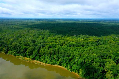 Understanding The Alabama Land Market South Land Company Llc