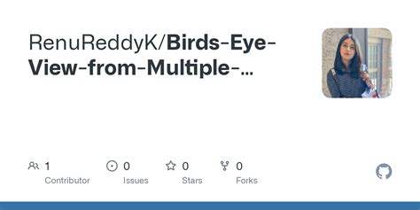 GitHub RenuReddyK Birds Eye View From Multiple Camera Views