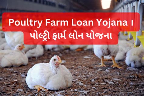 Poultry Farm Loan Yojana । પોલ્ટ્રી ફાર્મ લોન યોજના