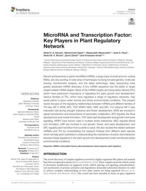 Pdf Microrna And Transcription Factor Key Players In Plant