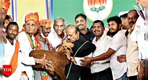Congress Congress Cant Shake Strong Toi Roots Of Bjp Says Karnataka