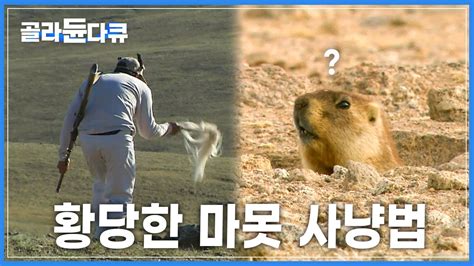 이게 돼 황당한 몽골의 마못 사냥법│소리지르는 마못│다큐프라임│ 골라듄다큐 Youtube