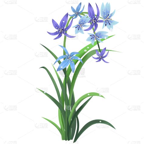 花瓣