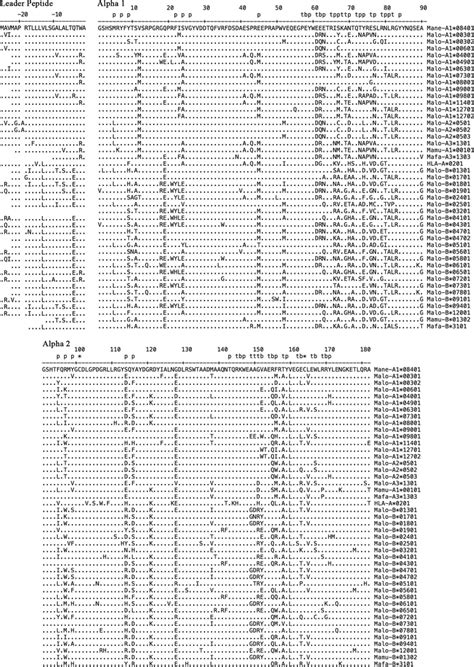 Alignment Of Predicted Amino Acid Sequences Identified From 12 Northern