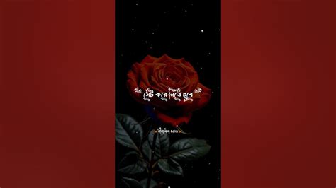 আমি জিতি নয় শিখিআমি কখনো হারি না।। Reelsvideo Islamicshorts Youtube