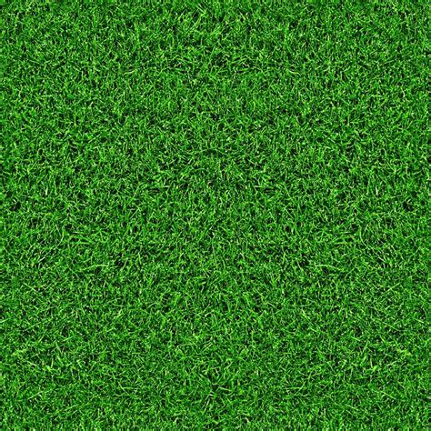Grass Textures Grass Texture Seamless Grass Wallpaper