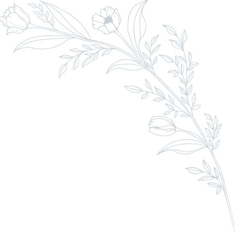 Gabrielle Indyk And Jack Mcentees Wedding Website