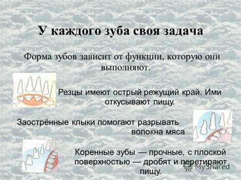 Презентация на тему: "КРЕПКИЕ КРЕПКИЕ ЗУБЫ презентация учащихся 3 ...