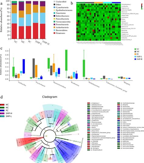 Species Composition Analysis Stacking Diagram Of Species Distribution