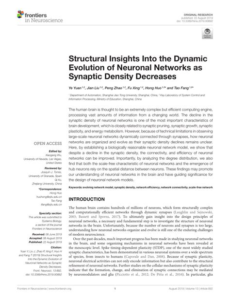 Pdf Structural Insights Into The Dynamic Evolution Of Neuronal Networks As Synaptic Density