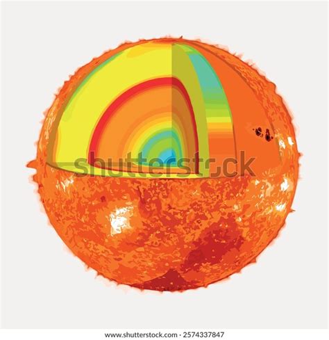 6197 Object Cross Section Stock Vectors And Vector Art Shutterstock