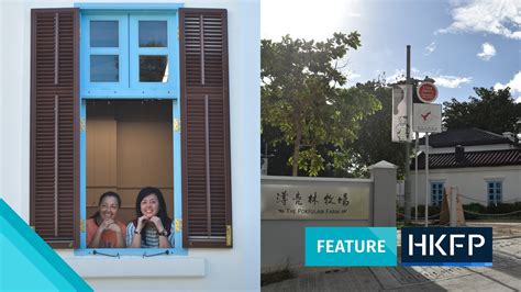 Land of milk and honey: Project to preserve Hong Kong's first dairy farm keeps sisters' memories ...