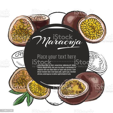 Maracuja 벡터 스케치 배너 흰색 바탕에 텍스트에 대 한 장소 손으로 그린 된 스케치 과일 그래픽 디자인 0명에 대한 스톡