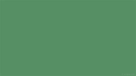 Download Sage Plain Green Wallpaper