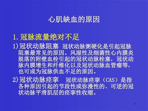 心肌缺血和缺血再灌注损伤ppt课件 Word文档在线阅读与下载 无忧文档