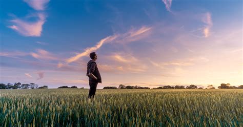 Sapse Portfolio Sapse Philippines