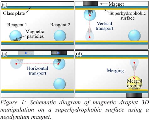 Figure 2 From Three Dimensional 3d Magnetic Droplet Manipulation For Biomedical Applications
