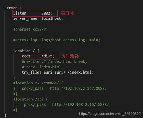 使用nginx反向代理运行dist文件dist文件运行代理 Csdn博客