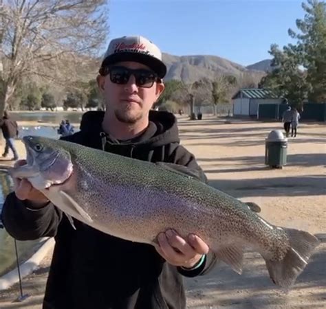 Hesperia Lake Fish Report Hesperia CA San Bernardino County