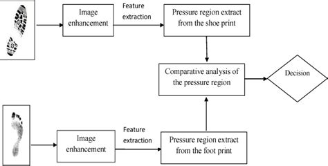 Figure 1 From Crime Suspect Identification System Based On Footprints
