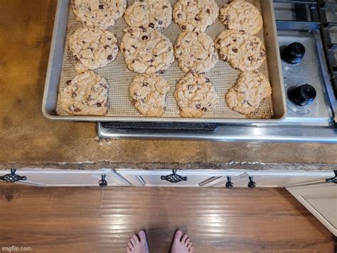 Girls And Cookies Meme
