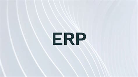What Is Erp Software Understanding The Basics Witify