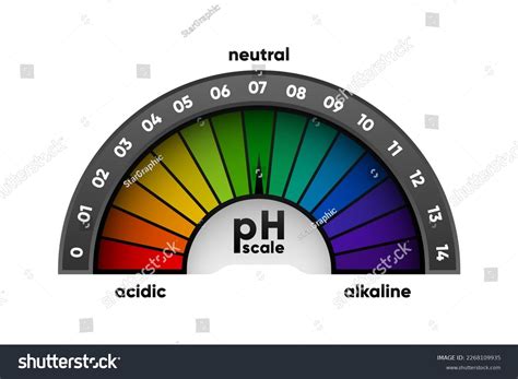 Ph Scale Meter Acidic Alkaline Solutions Stock Vector Royalty Free 2268109935 Shutterstock