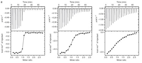 【设备更新系列】等温滴定量热仪（itc）篇 微信文章 仪器谱