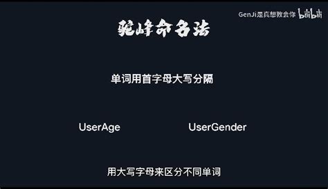 【python 爬虫】爆肝两个月！拜托三连了！这绝对是全b站最用心（没有之 哔哩哔哩