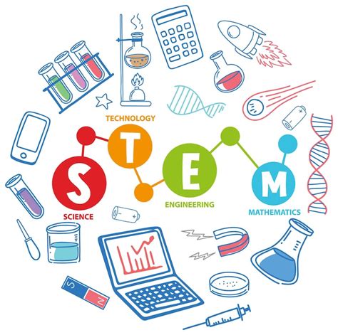 Stem Types Images Free Download On Freepik