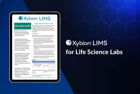 Access Xybions Software And Services Brochures Today