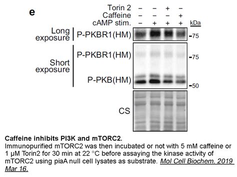 Apexbio Torin 2 Mtor Inhibitor Highly Potent And Selective Cas