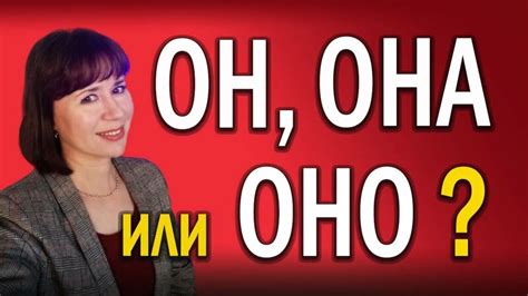 Как научить Иностранцев определять РОД русских существительных